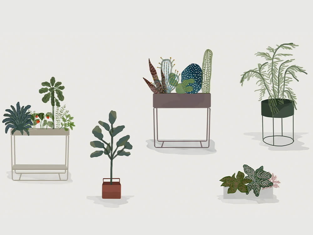 Plant Box